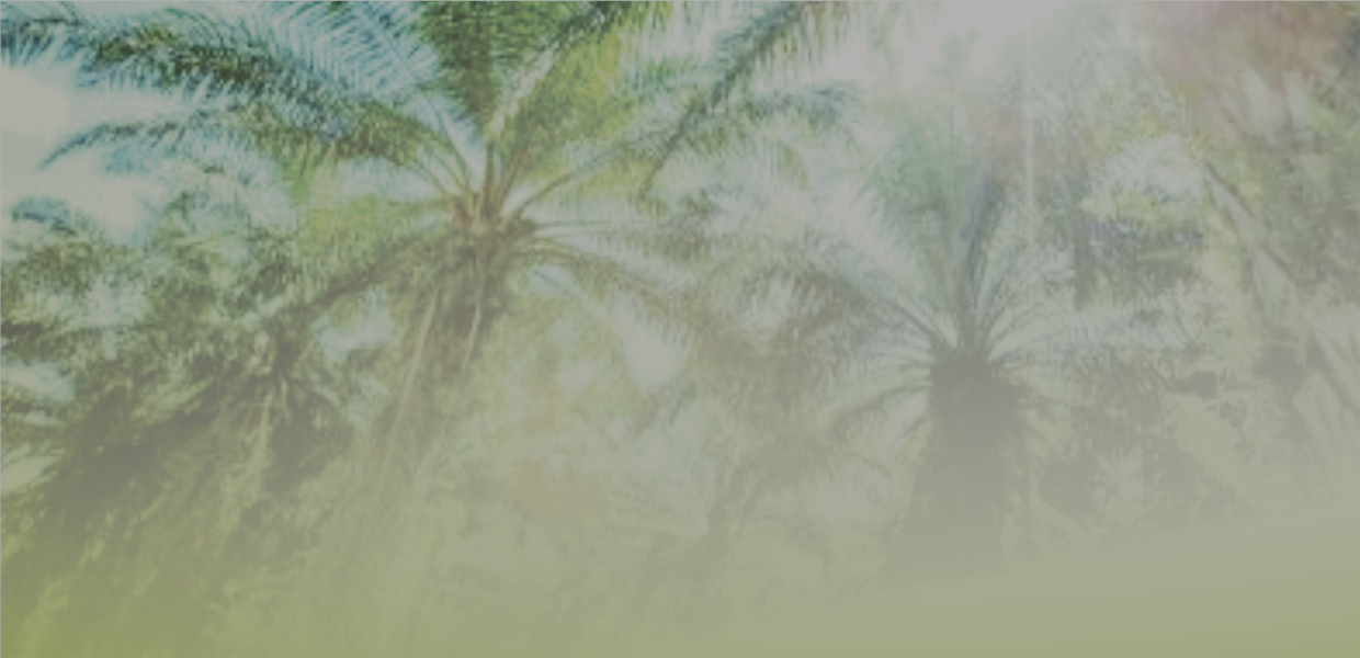 Leading CCTV Camera Supplier & Distributor Malaysia | Cynics Solution