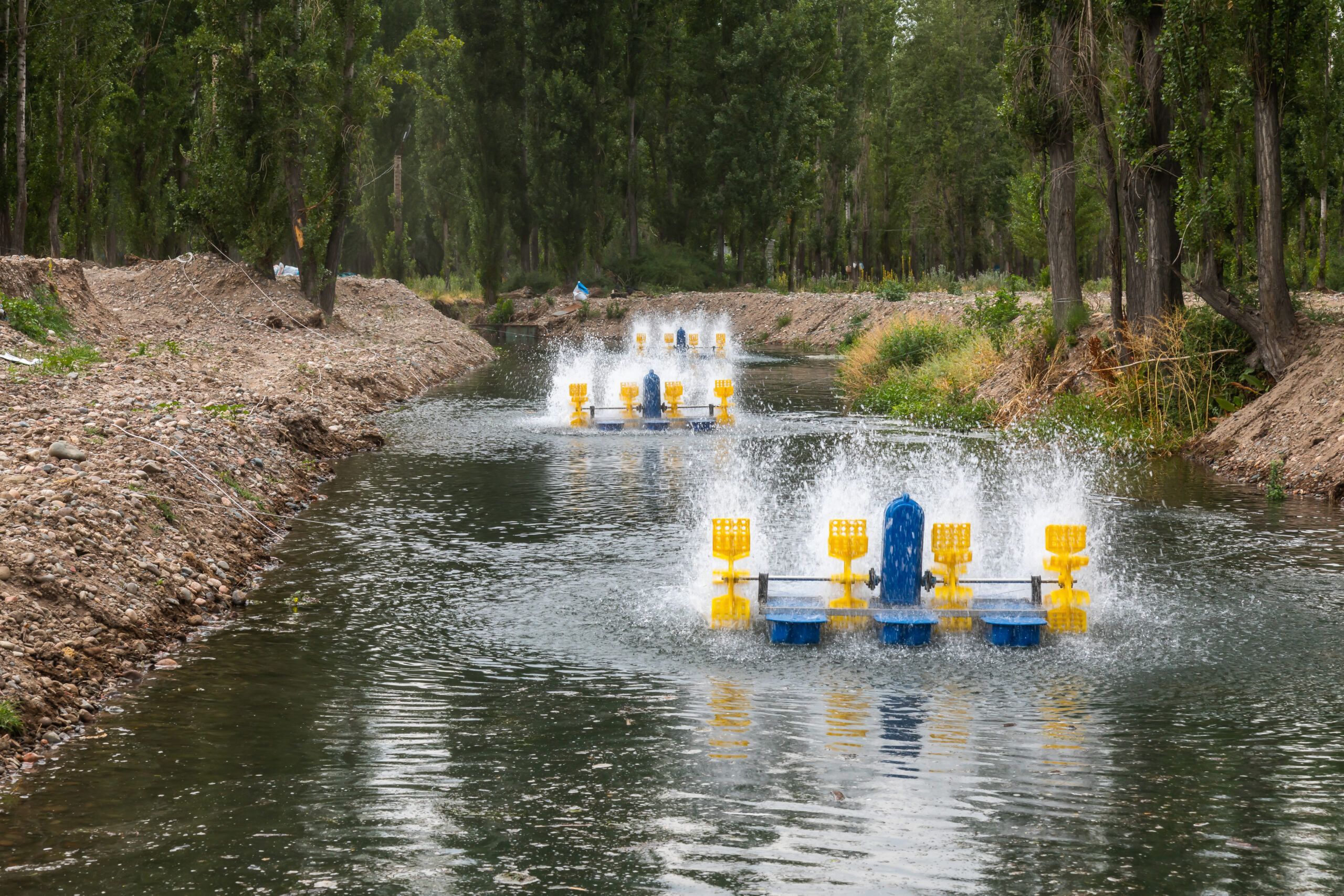 Enhance Water Quality with Solar Powered Aerator | Cynics